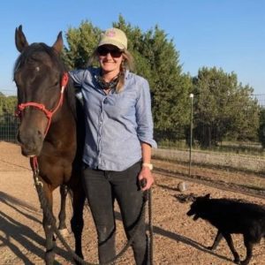 Veterinarian In Albuquerque, NM 87110 | Del Norte Animal Clinic